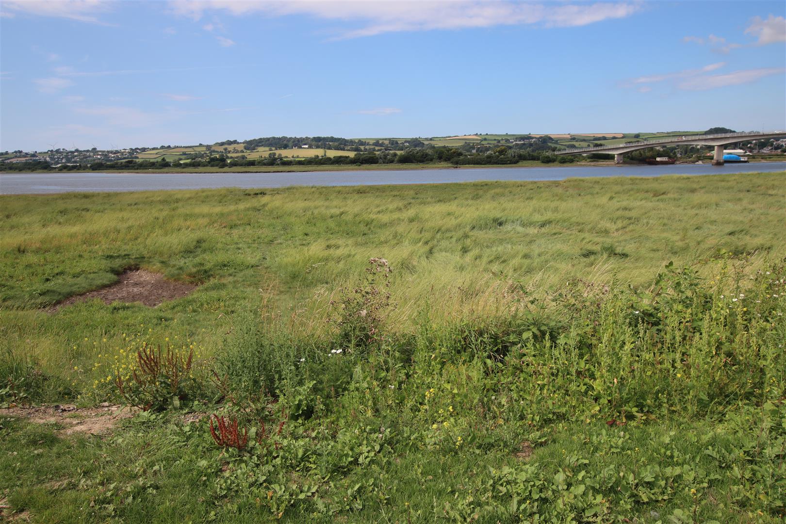 River Taw, Barnstaple - Phillips Smith and Dunn